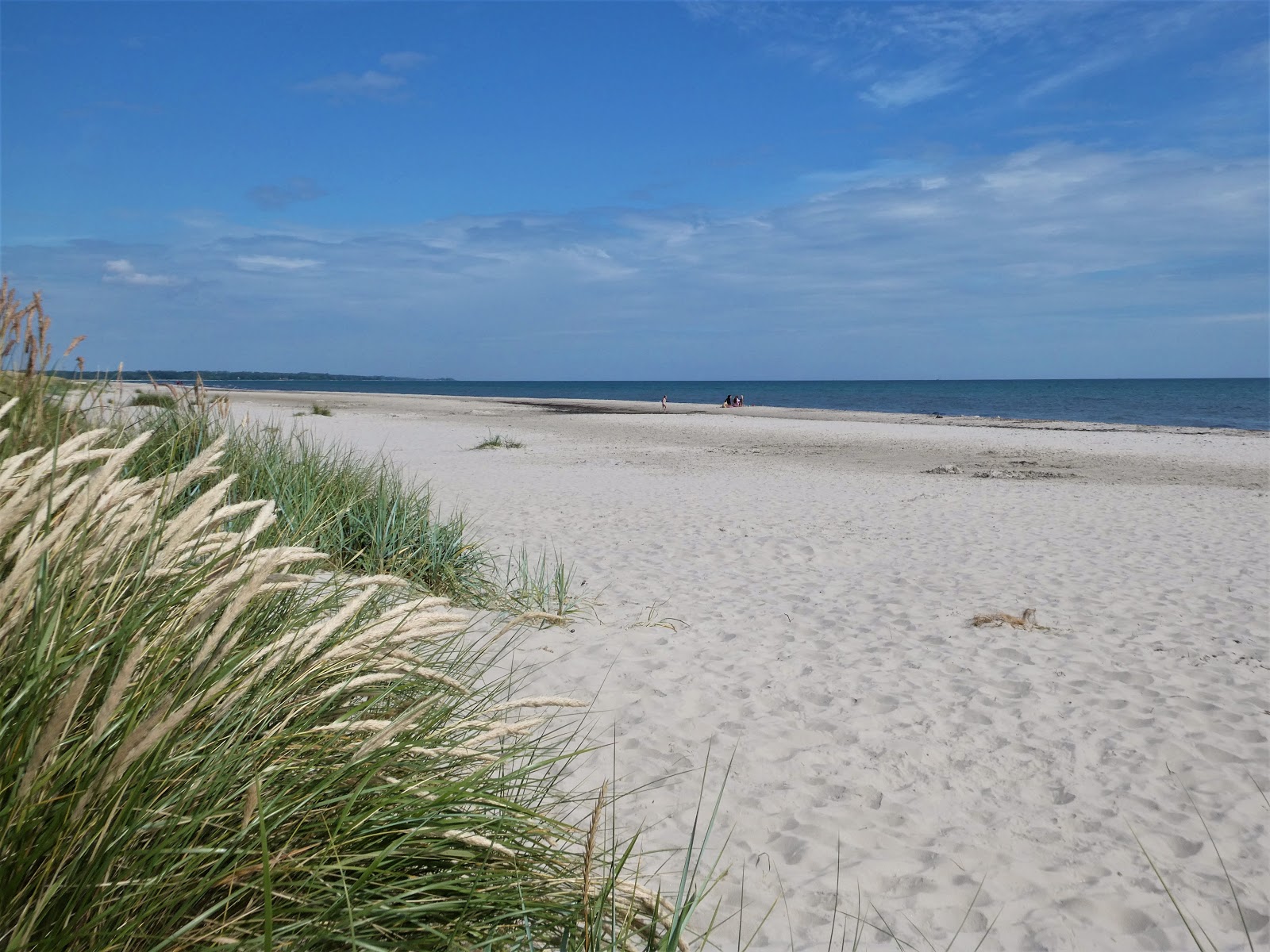 Skåne Trails